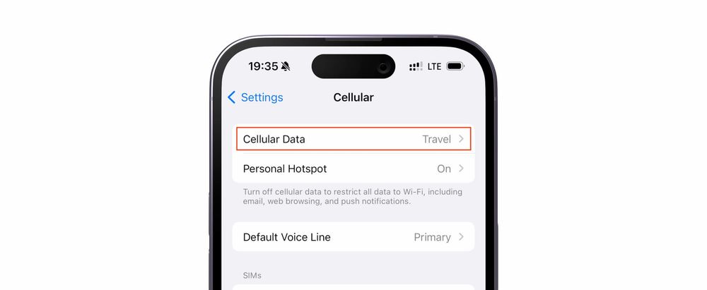 eSIM's Popularity for International Travel [Why and How to Use It]
